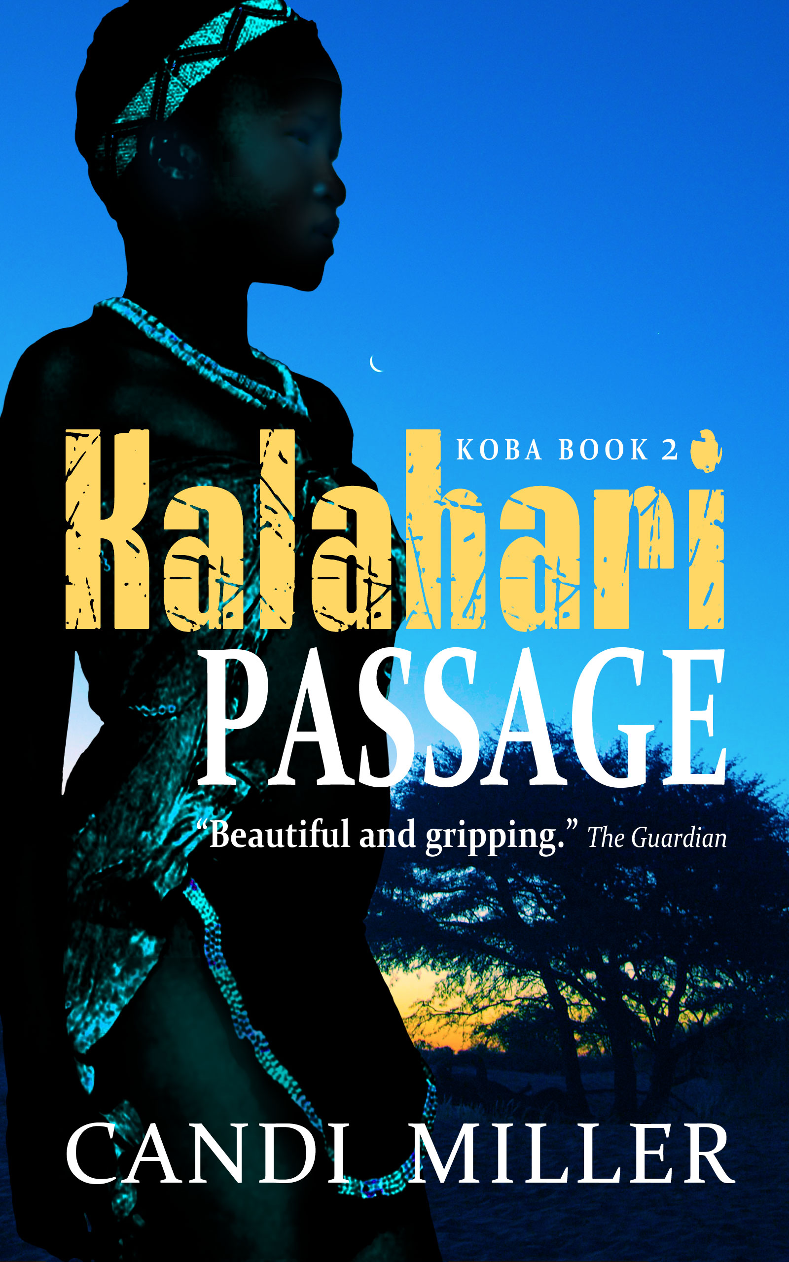 Kalahari Passage Blog Tour - Sarandipity's